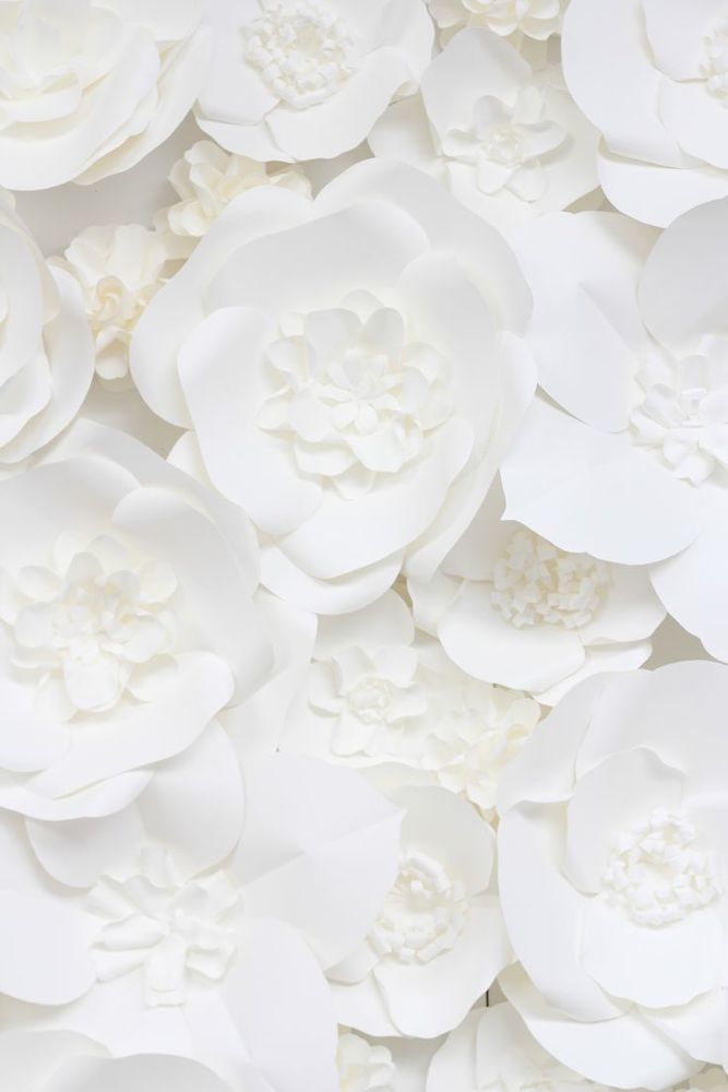 Large Paper llower Backdrop