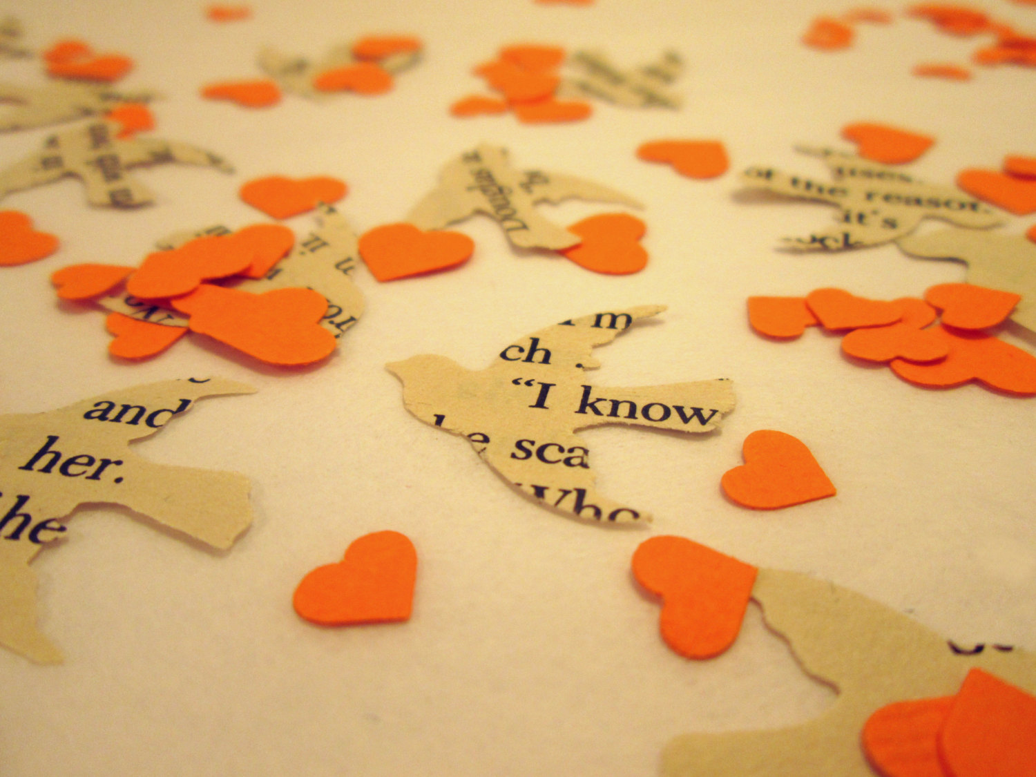 Book Page Bird Confetti & Orange Mini Heart Confetti