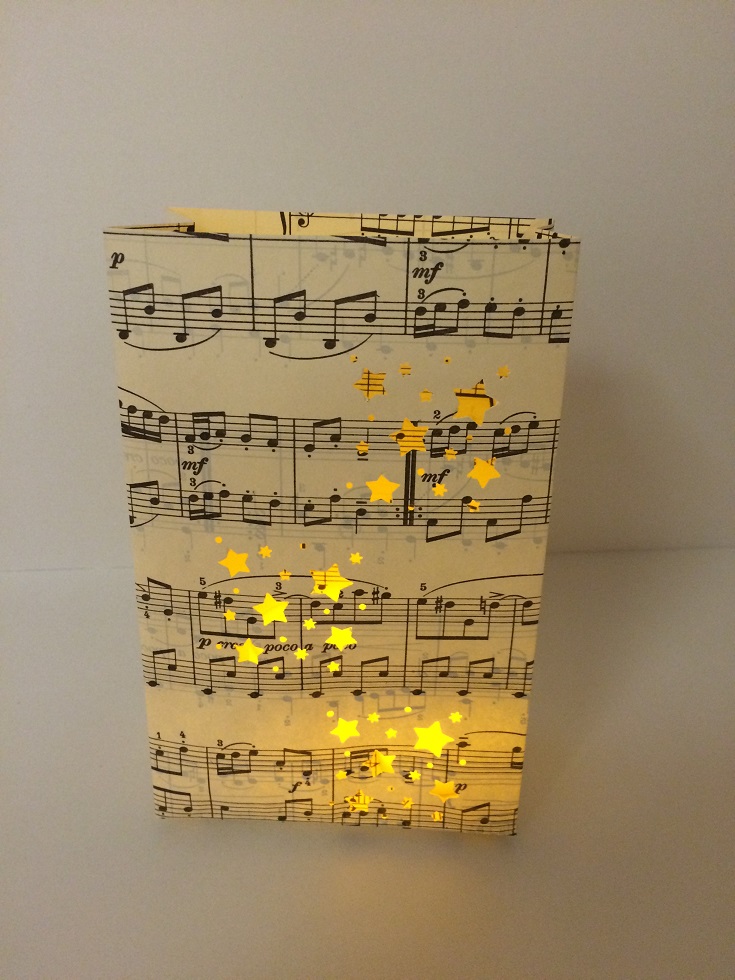 Star Luminaries, Starry Night