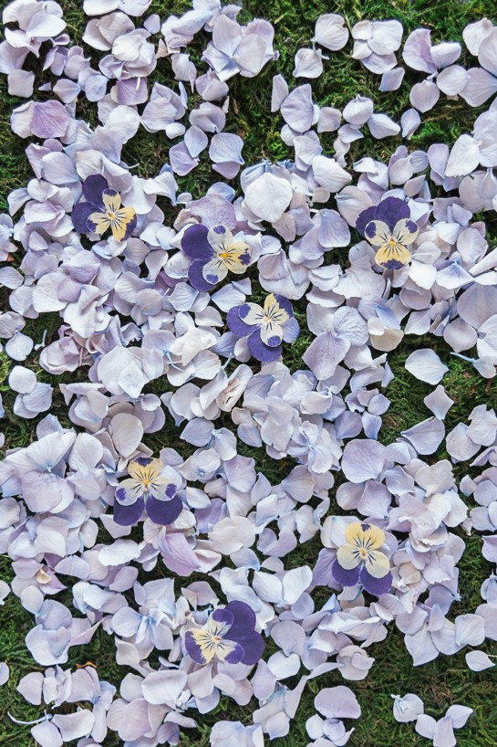 Wedding Confetti: Where to Buy (Fun!) Tossing Confetti for Weddings