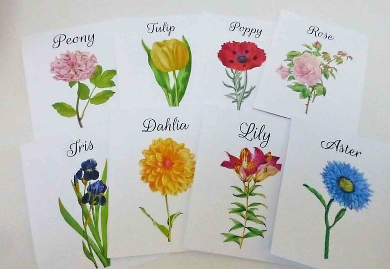 Wedding Table Names: 75+ Creative Ideas | Emmaline Bride®