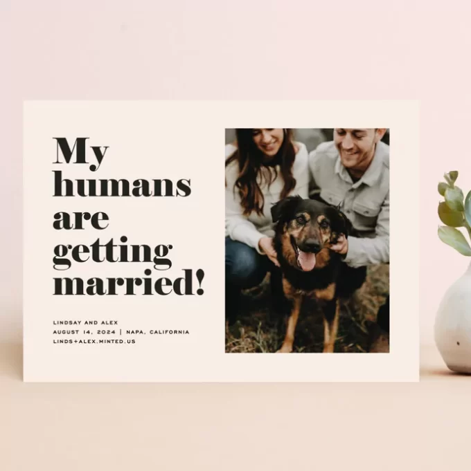 21 Funny Save the Dates for Non-Boring Couples | Emmaline Bride