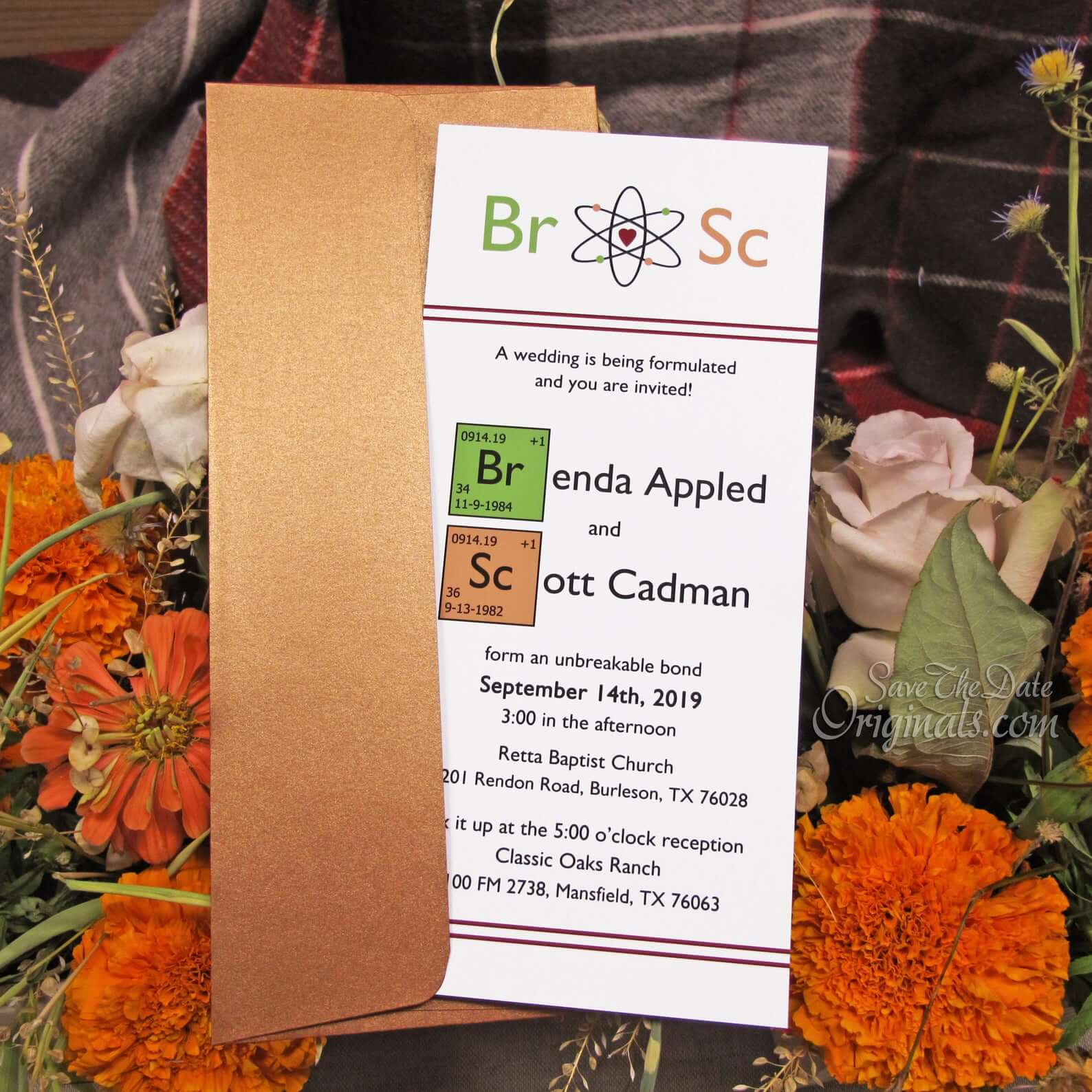 50+ Best Science Wedding Ideas for Nerdy Couples | Emmaline Bride