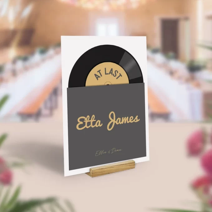 30 Best Vinyl Record Themed Wedding Ideas | Emmaline Bride