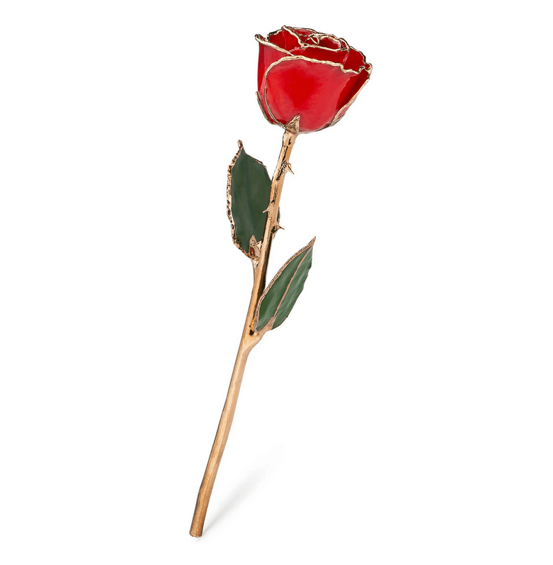 Yes, You Really Can Have Roses That Last Forever (Finally!)