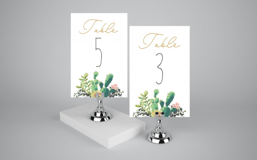 50 Best Cactus Ideas for Beautiful Southwestern Weddings