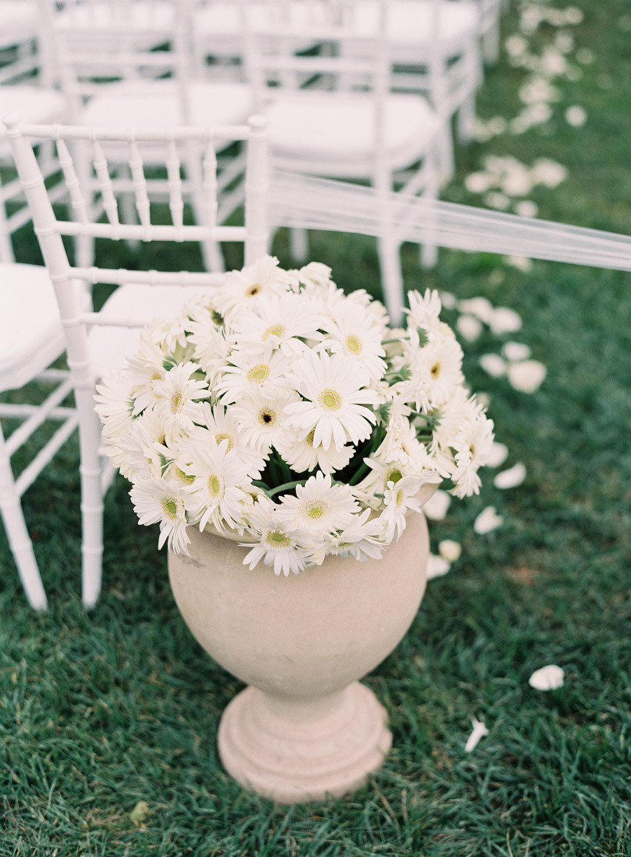 35 Daisy Ideas That Make a Beautiful Theme for Weddings